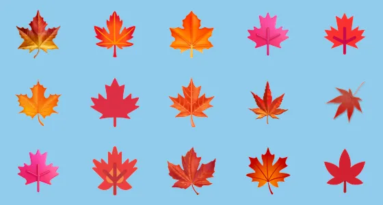 🍁 Maple Leaf Emoji Copy And Paste - Emoji Stock
